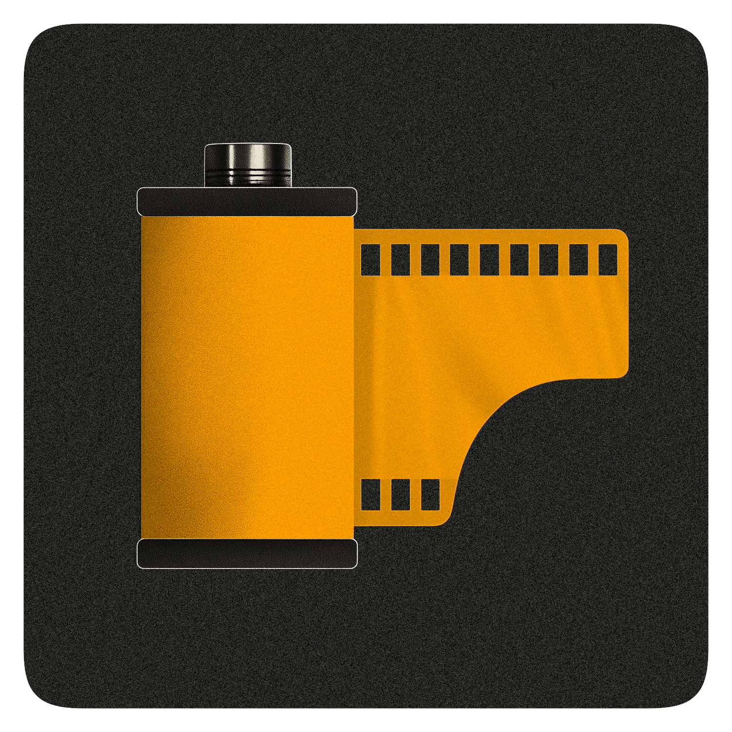 Film – Camera House NZ