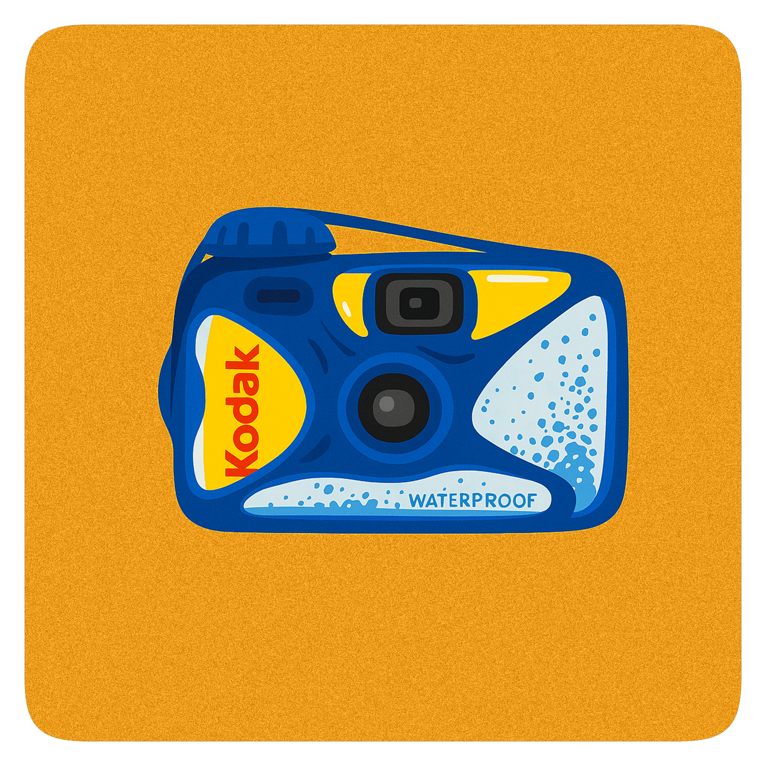 Underwater Disposable Cameras – Camera House NZ